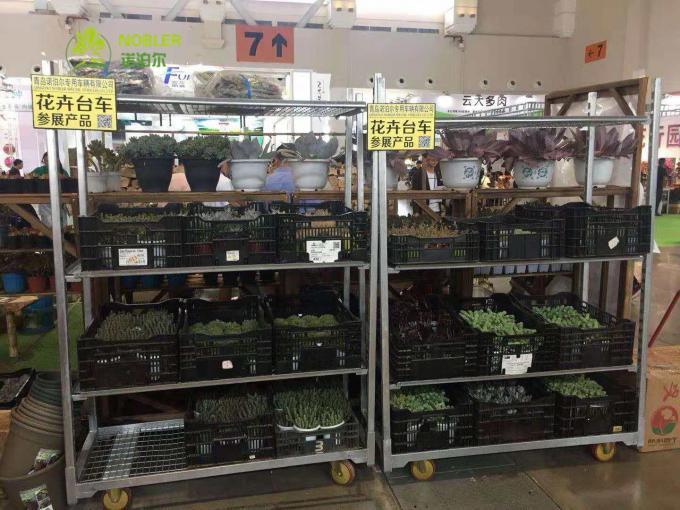 Danish CC Container Flower Trolleys Green House Nursery Plant Transport