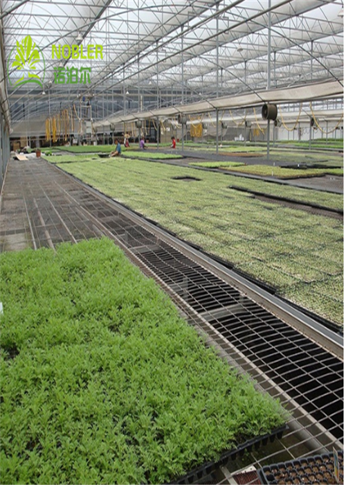 1.7m Length Greenhouse Grow Beds , Seed Bed Bench Tray Top Table