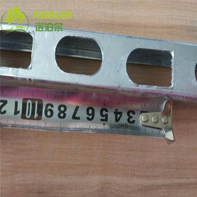 Plant Transport Dutch Flower Trolley