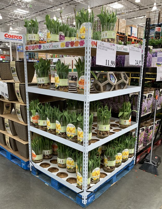 Danish Flower Trolley EZ Container Euro Racks Powder Coated