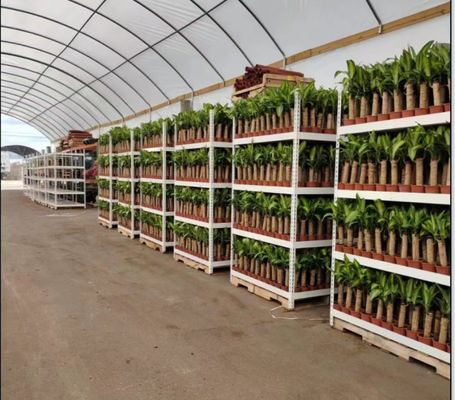 EZ Container factory, Buy good quality EZ Container Products from China