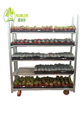 Quality Dutch Flower Trolley & Danish Flower Trolley factory from China