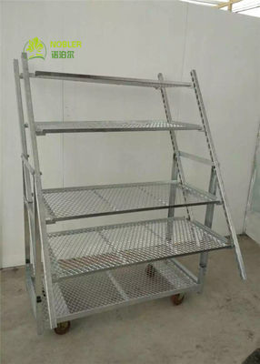 CC Racks factory, Buy good quality CC Racks products from China